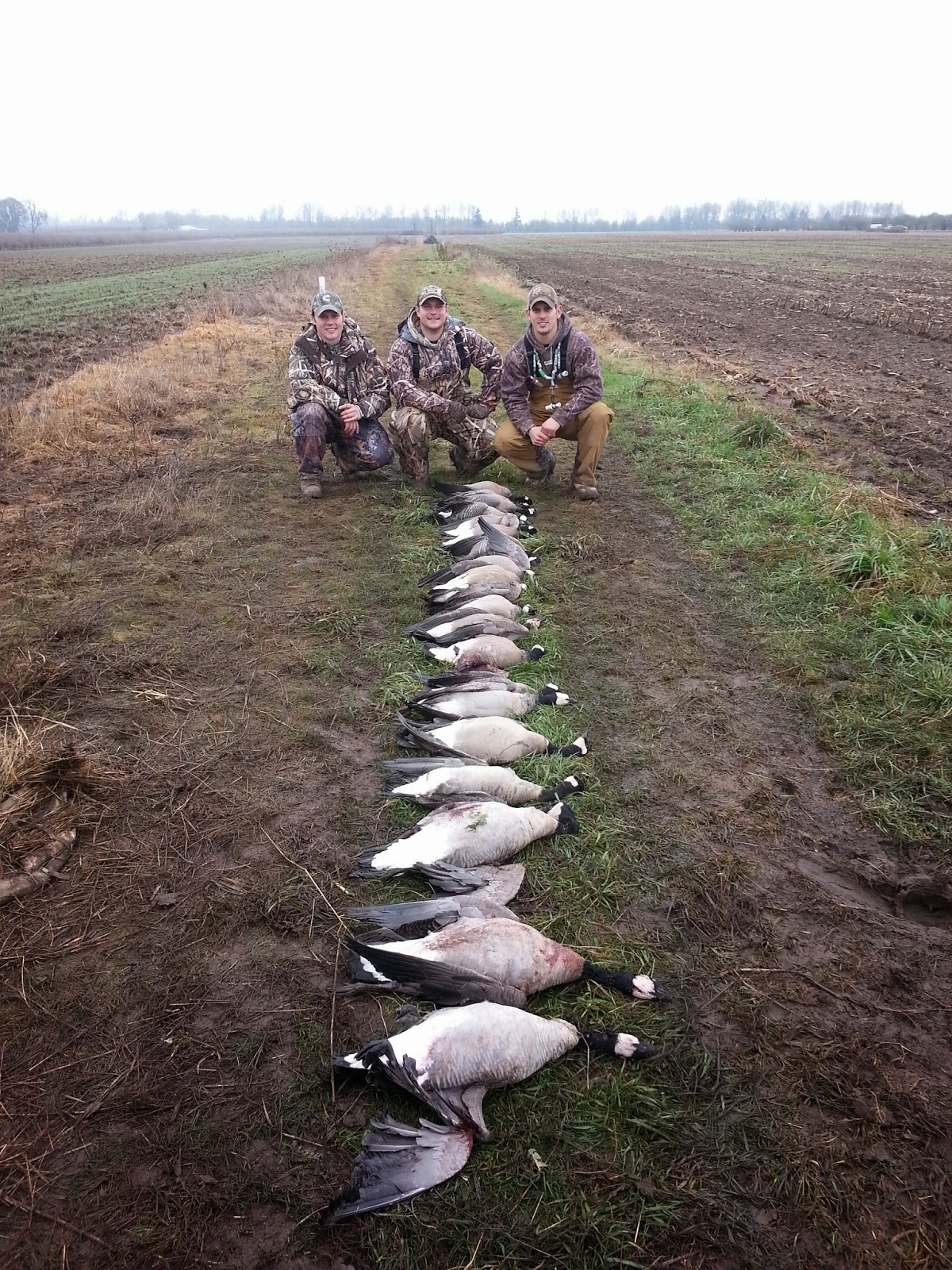 Turning Ducks To Rain: S2 Cackling Cackler Hunt