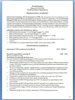 Independent TSM Consultant Sample Resume Format in Word Free Download