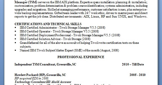 Independent TSM Consultant Sample Resume Format in Word Free Download