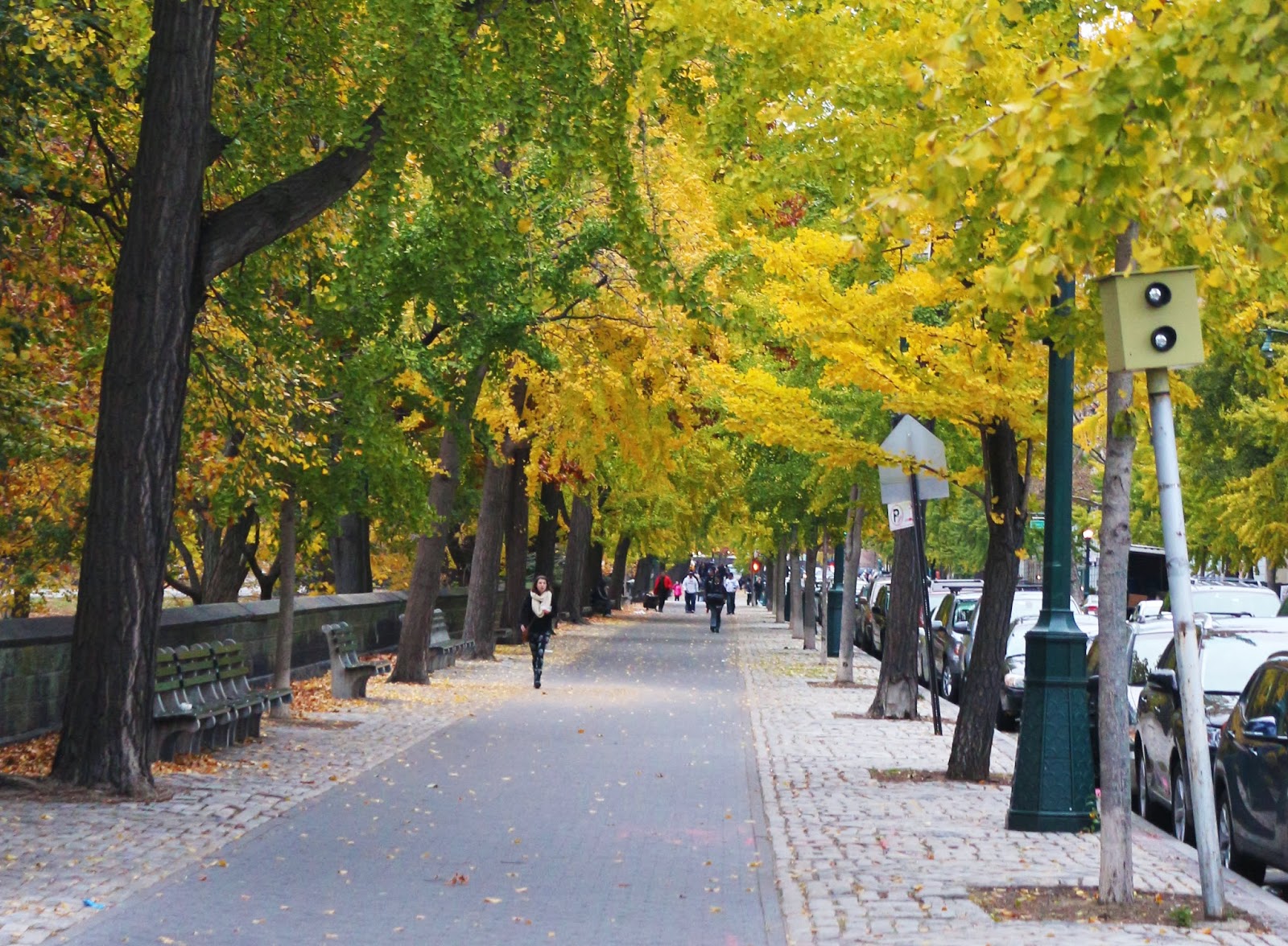 66 Square Feet (Plus): 110th Street and into the woods