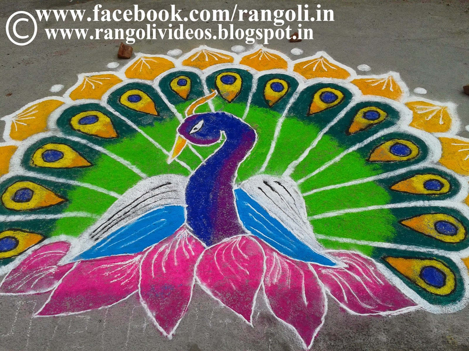 Diwali Rangoli , Kolam , Designs Images: Peacock Rangoli Designs