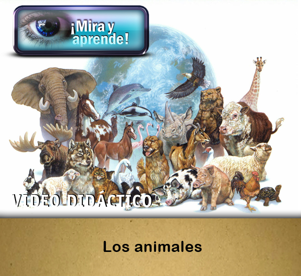 MIRA Y APRENDE | Los animales ~ La Eduteca