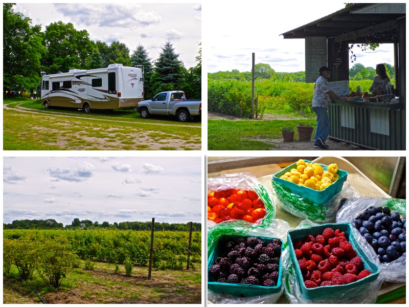 Champagne Wishes and RV Dreams: CAMPGROUNDS