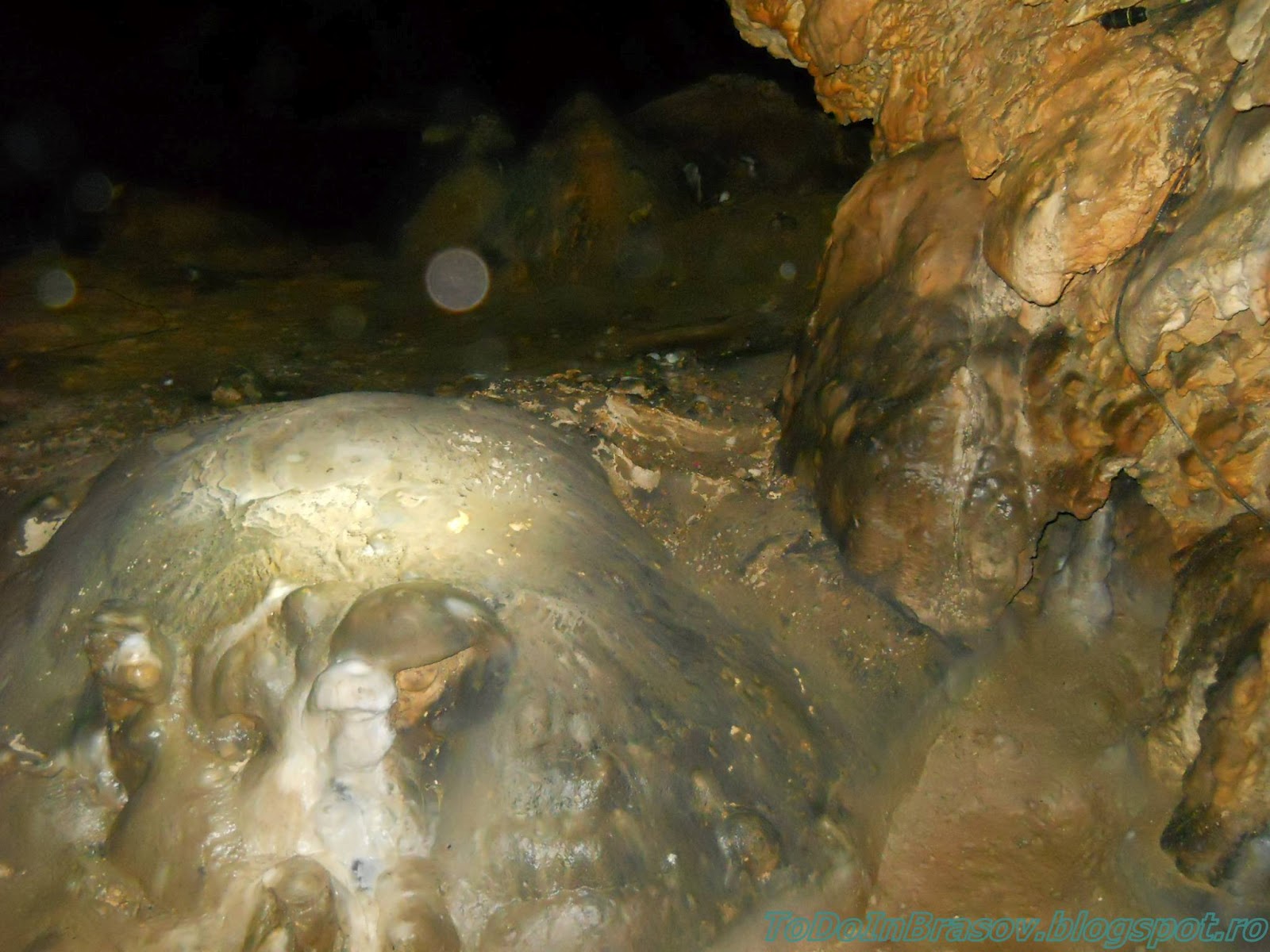 To Do In Brasov - Afla tot ce poti sa faci in cel mai frumos oras din ...