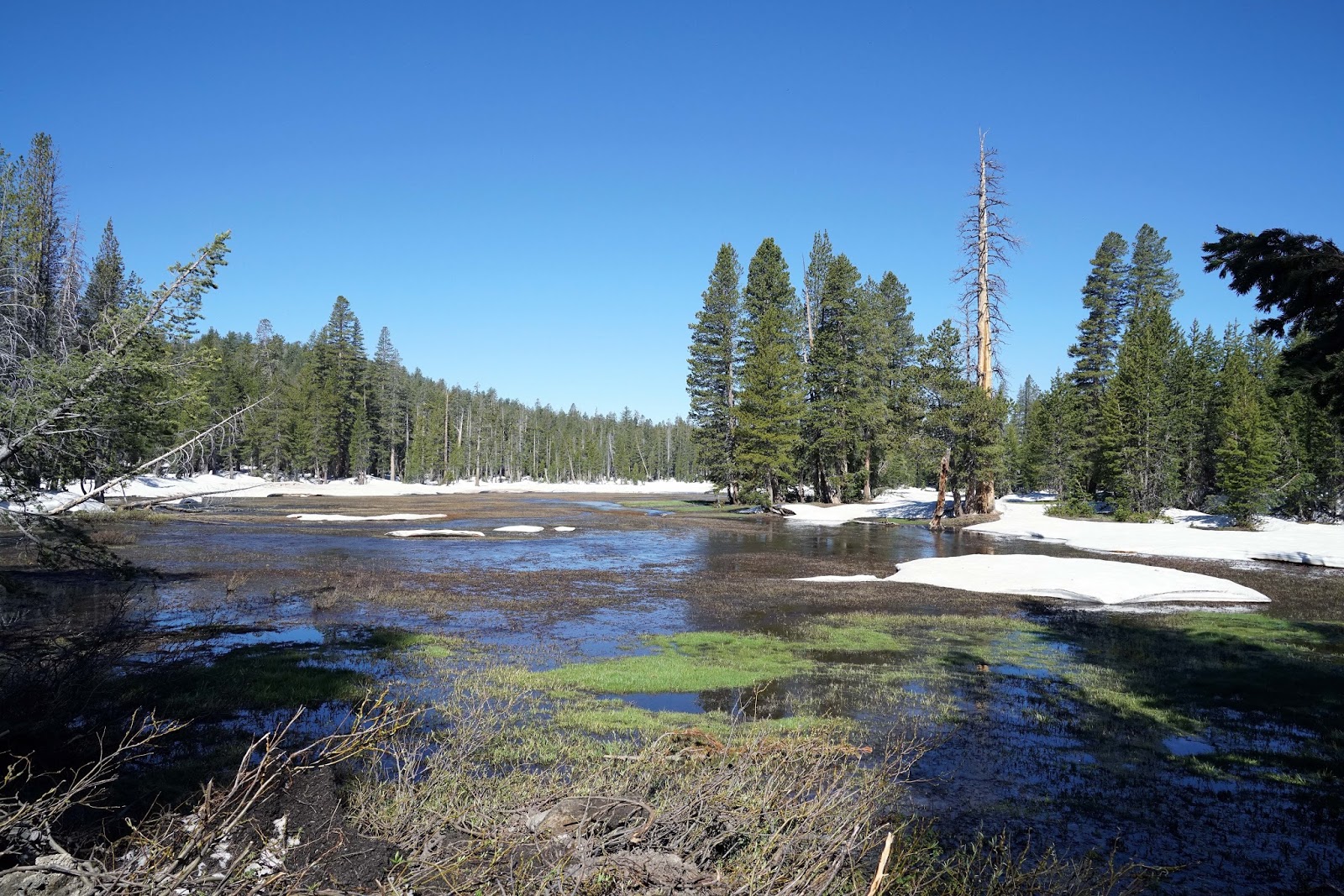 Mid Sierra Musings: Kaiser Pass Area June 23, 2017 And The Kaiser Pass Road
