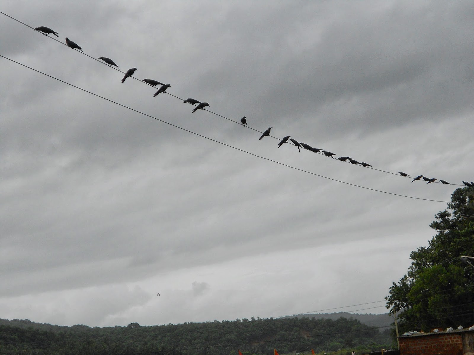 Travel and food tales: Nivati fishing village