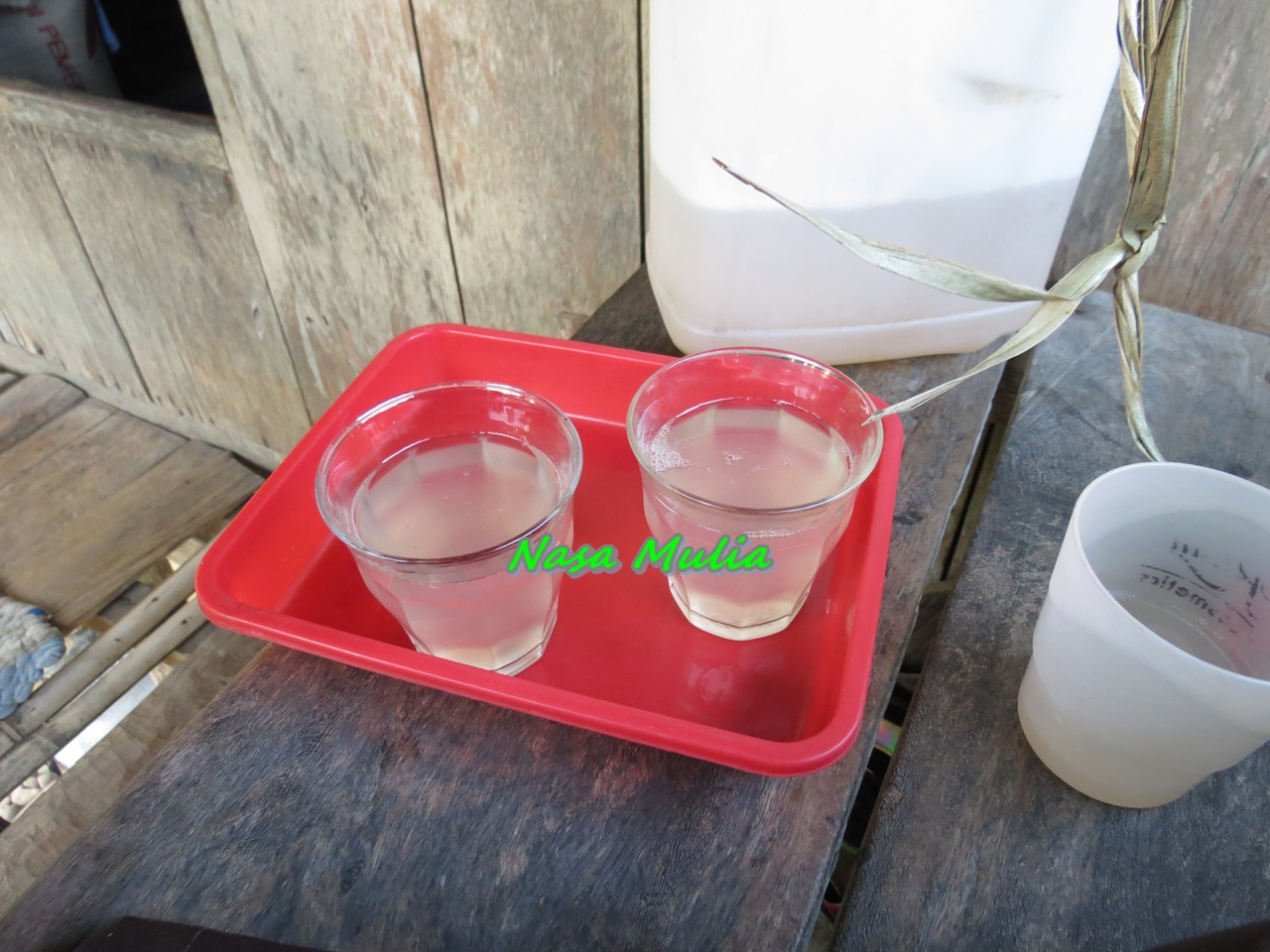 warna warni hidupku..............: Pokok Kabung / Aren