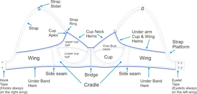 Best Rack Around: The Language of Lingerie Series: Parts of a Bra