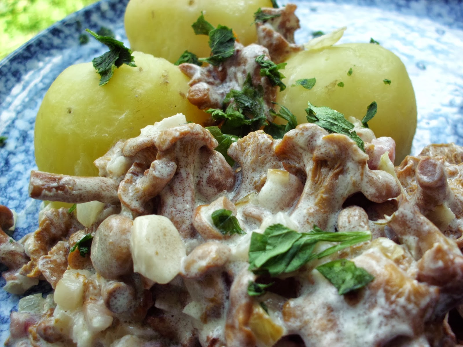 Emi receptai: Voveraitės, troškintos grietinėje