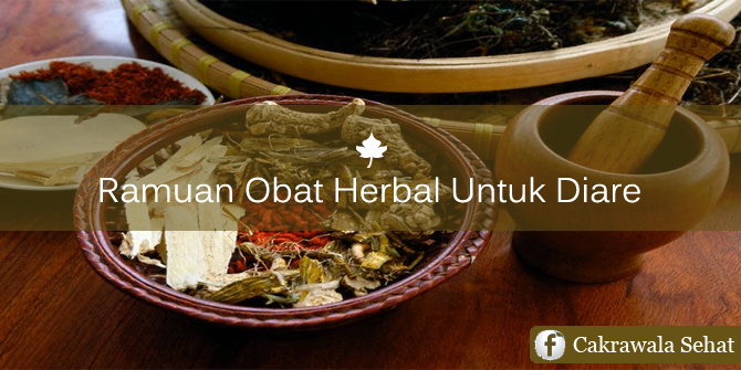 Inilah 29 Obat Diare (Mencret) Tradisional - Info Kesehatan