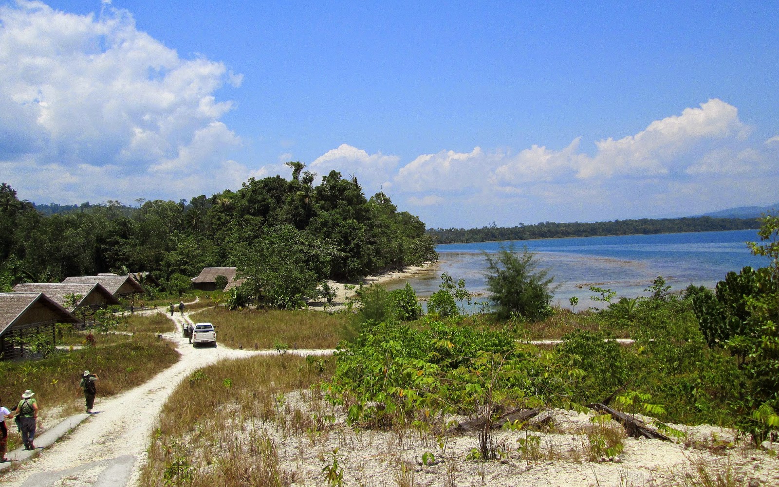 Worldbirder: Halmahera
