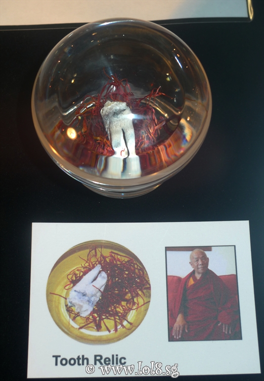 Life Of Lopsided 8: A tribute to the Hidden Yogi - Khensur Rinpoche ...
