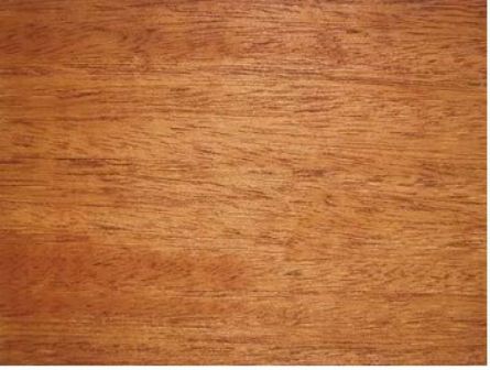 MOGNO (MAHOGANY) - O REI DA LES PAUL