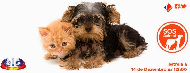 "SOS ANIMAL" ESTREIA ESTE SÁBADO ÀS 12:00 NA SIC! | SIC Blog