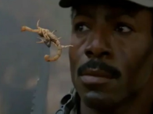 Help Mac the intern: Predator quotes (49 Photos) » Predator-mac-500-48 ...