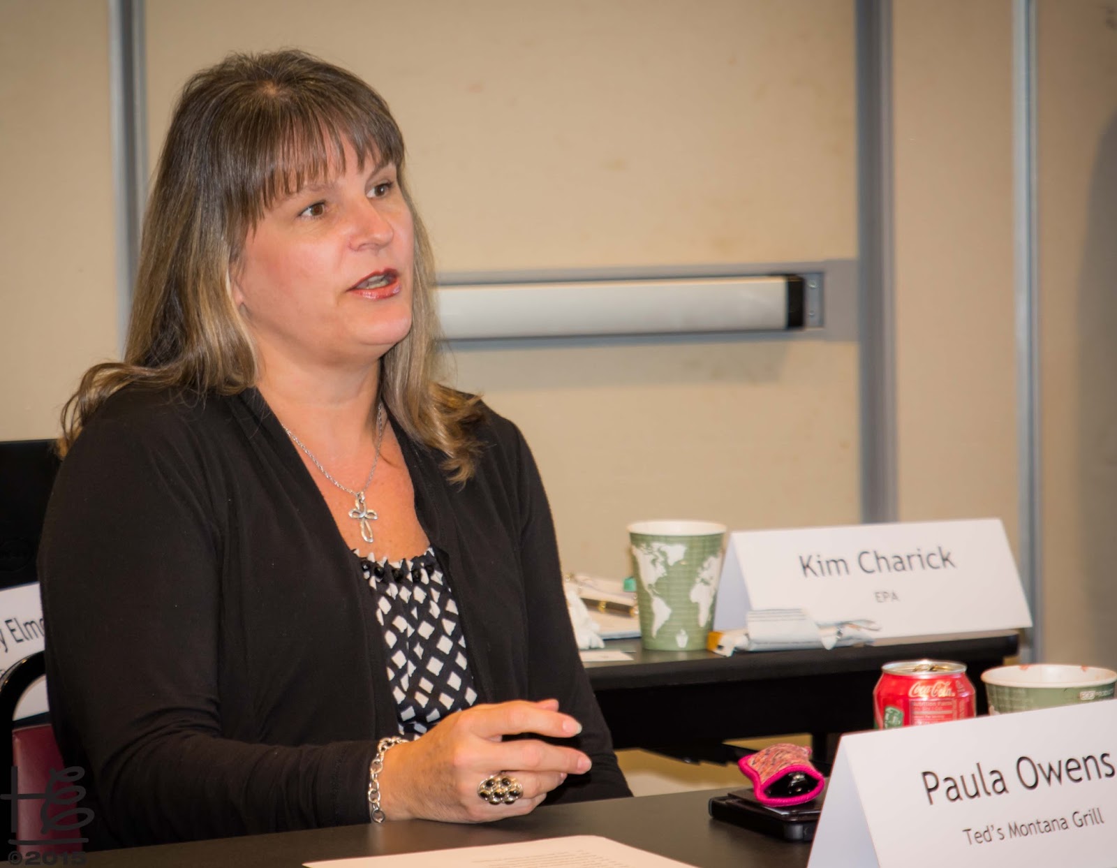 The IMPACT: Ei 2015: A Year of ACTION