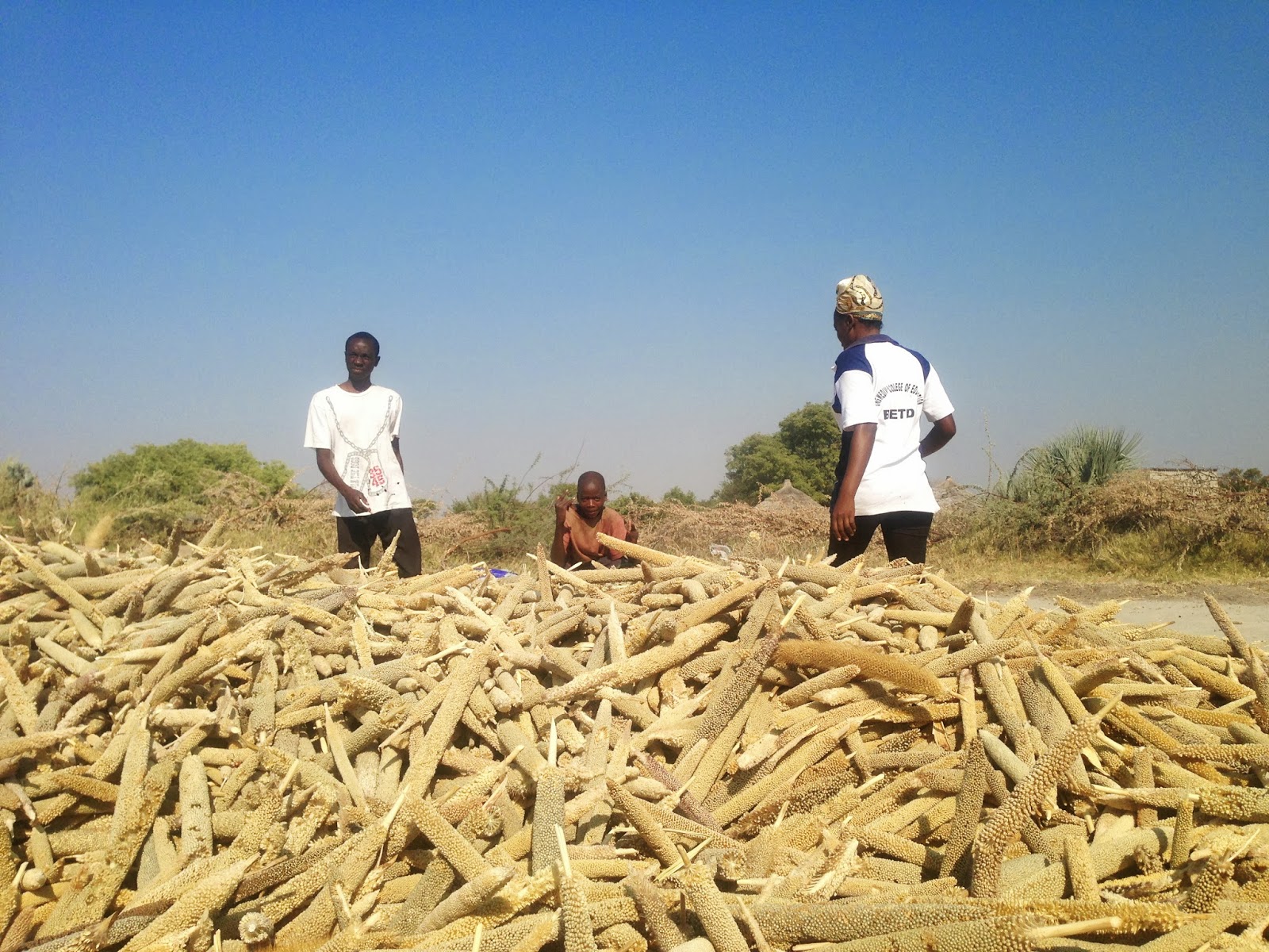 The Oryx Chronicles: Beating Mahangu