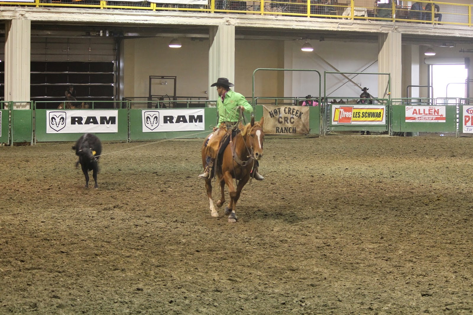 Little Anne just doing what she does best!