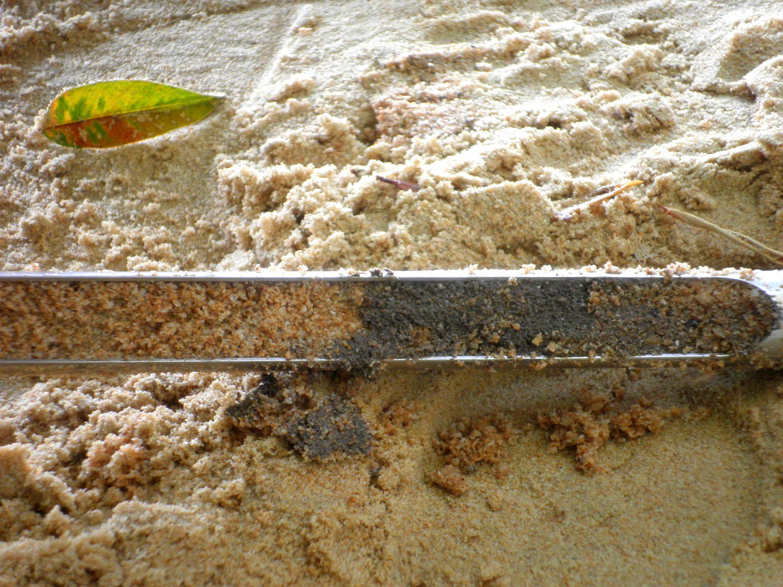 WE LOVE PLANT: so its our turnn:)