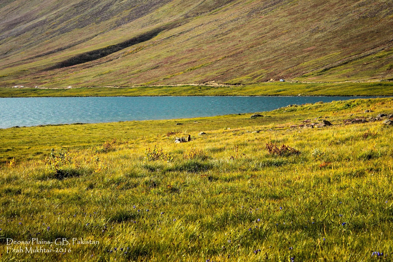 Projections: Deosai, The Land of Giants, Gilgit-Baltistan, Pakistan