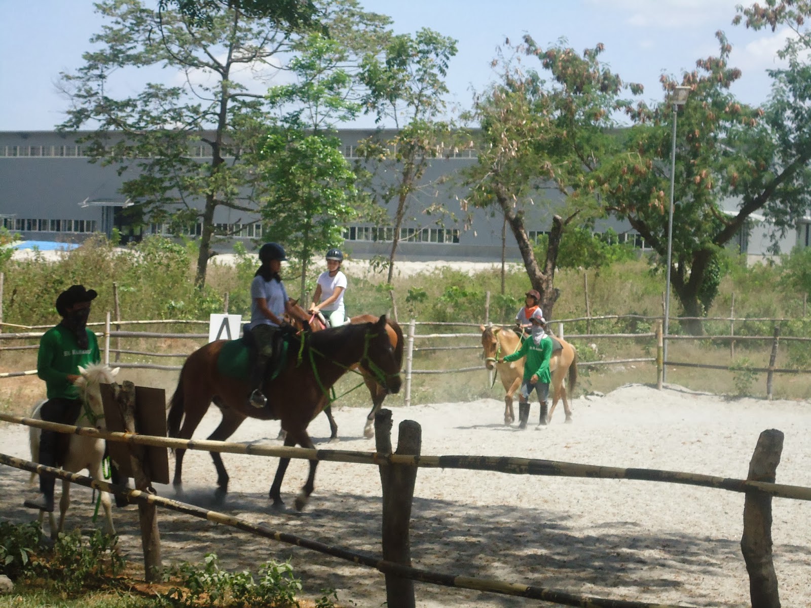 Horse Riding Philippines: May 2013