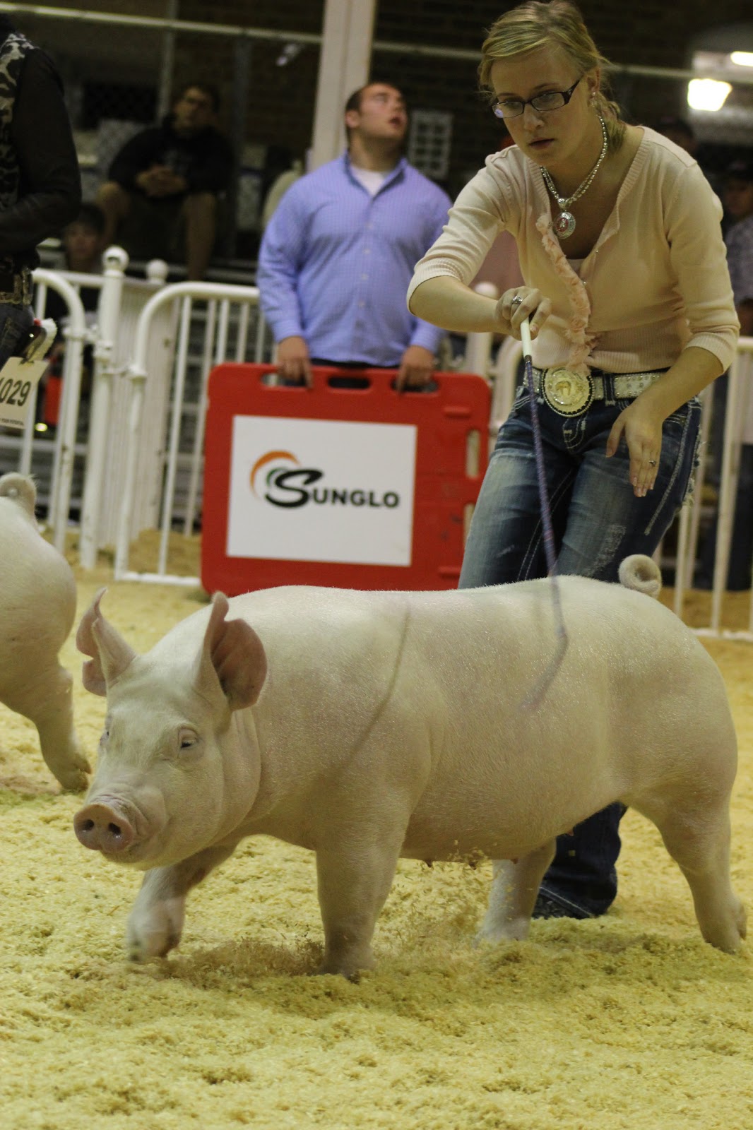 NSR Show & Sale Results: WPX Junior National Yorkshire Gilt Show Results