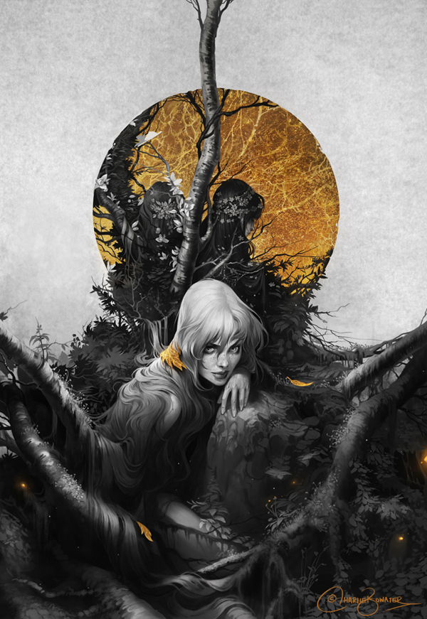 The Geeky Nerfherder: Artist Spotlight: The Art Of . . . Charlie Bowater