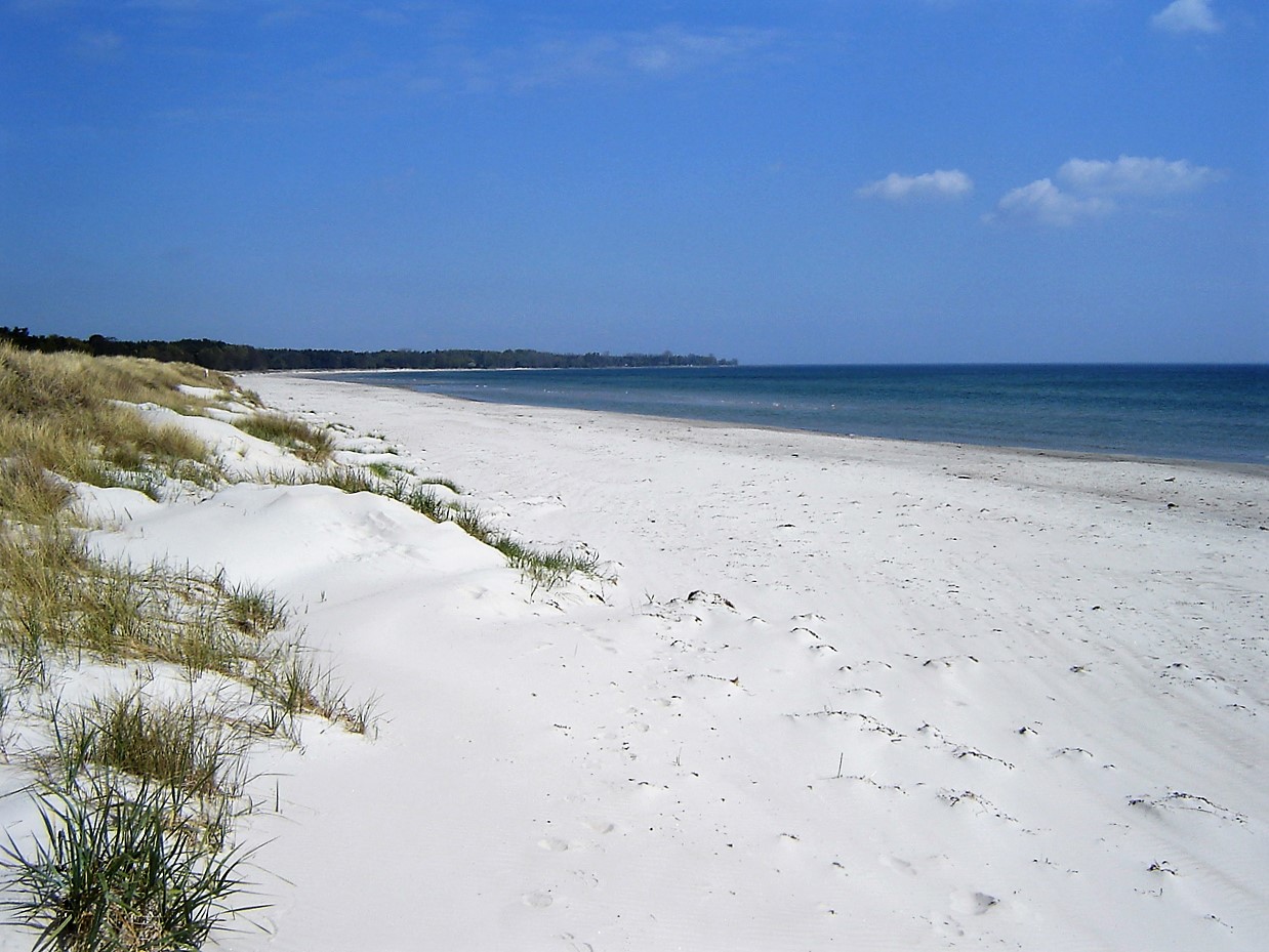Skånska Resor: Borrby strand