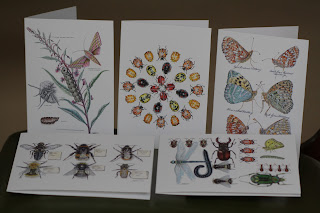 Cath Hodsman - Wildlife and Natural History Artist: Buglife sell my ...