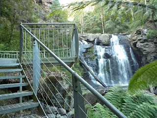 Back To Nature:: Stevenson Falls - Otways NP - VIC