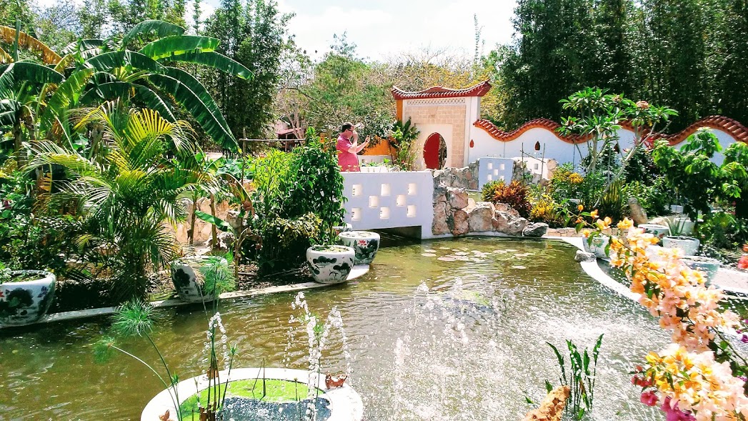 Casa del Gato Azul: Tranquility in Baca