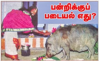 தமிழ் ஓவியா: போன ஜென்மத்தில் புகையிலை பொருள்களைப் பயன்படுத்திய ...