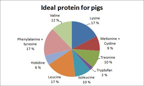 Animal science: Energy and protein metabolism in pigs