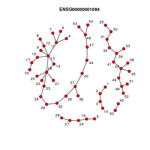 Nagarjun's blog: Visualizing isoforms of a gene as a undirected graph ...