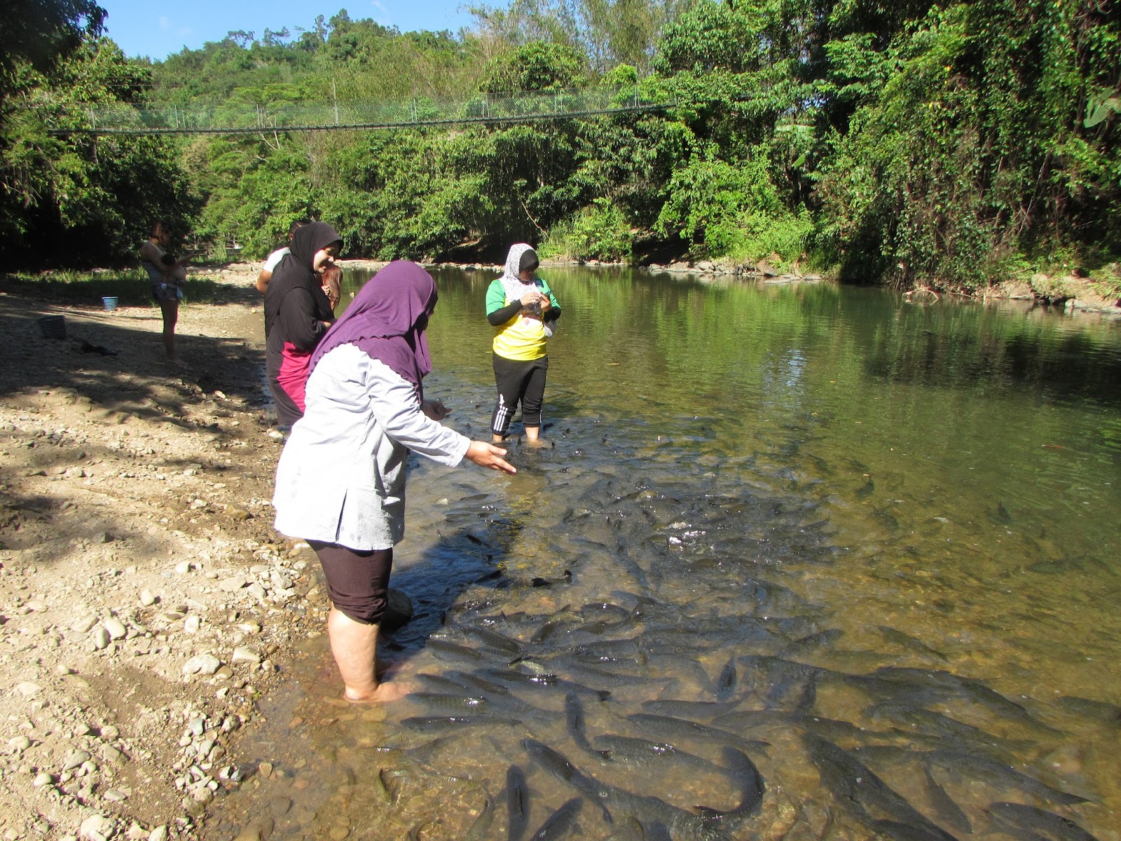 TRAVEL AND LEISURE IN BORNEO: KINABALU: Trip to Luanti Fish Spa
