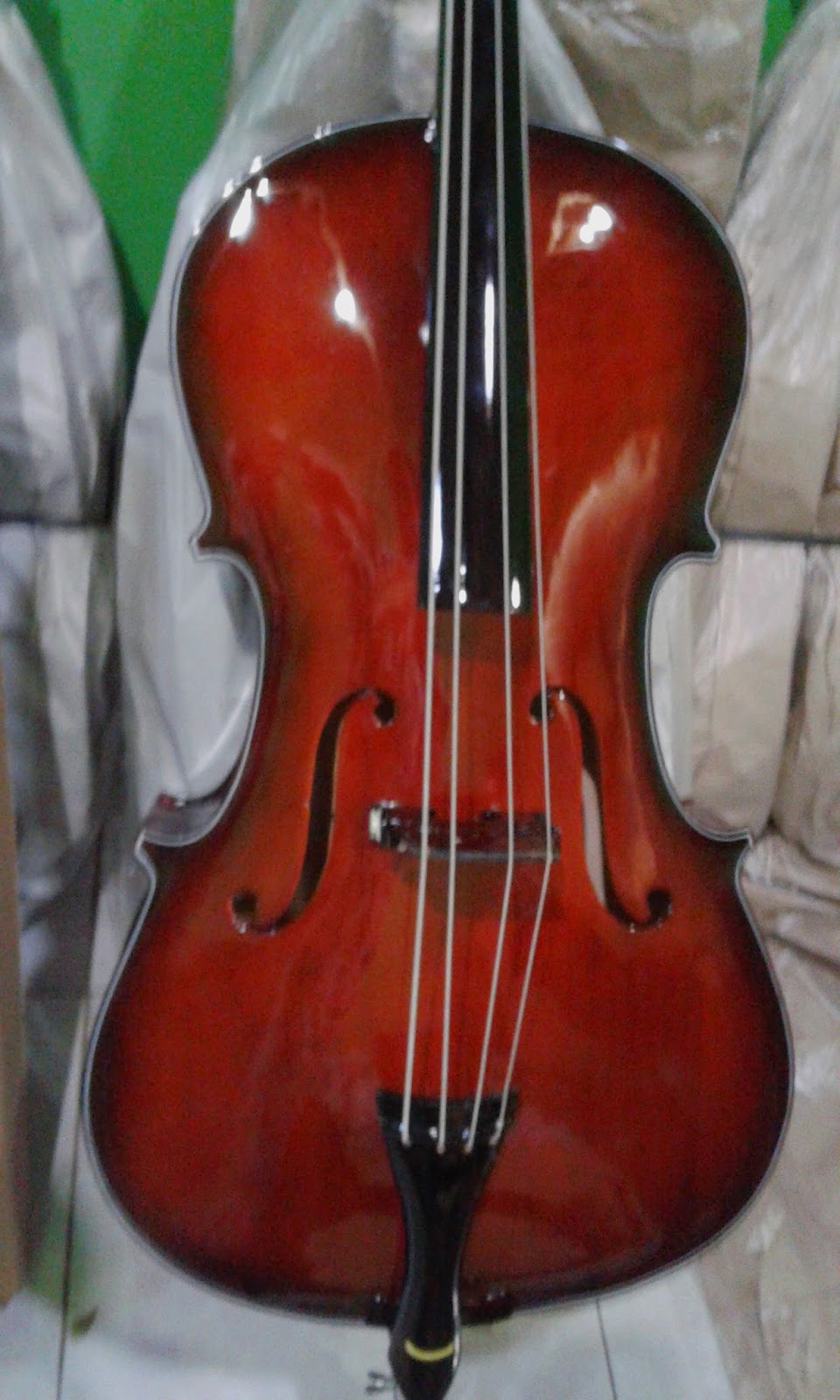 DIVA MUSIK: CELLO DAN CONTRA BASS