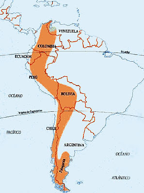 El blog del mestre Carlos: El còndor andí