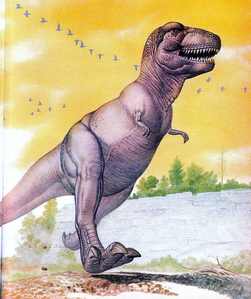 Love in the Time of Chasmosaurs: Vintage Dinosaur Art: The evolution ...