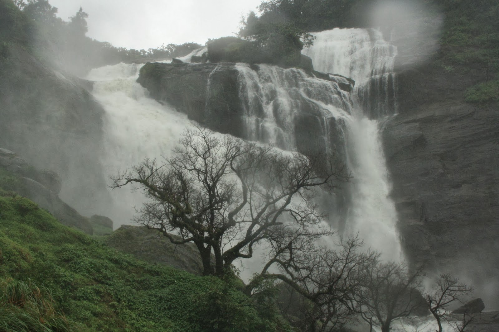 India Untravelled: A Solitary Monsoon in Coorg.