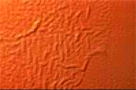 10 TYPES OF PAINT PROBLEMS, CAUSES AND SOLUTIONS | ATLAS CDC Review Center