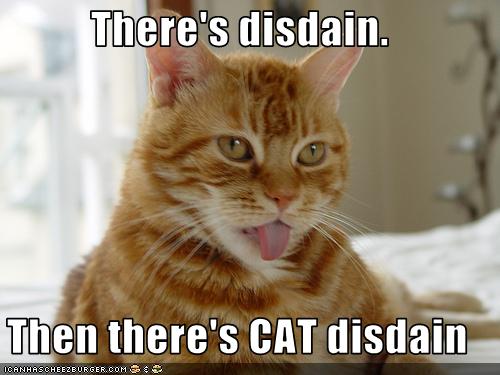 Run, MeriG. Run.: Cross-Training: Review of Barry's Bootcamp