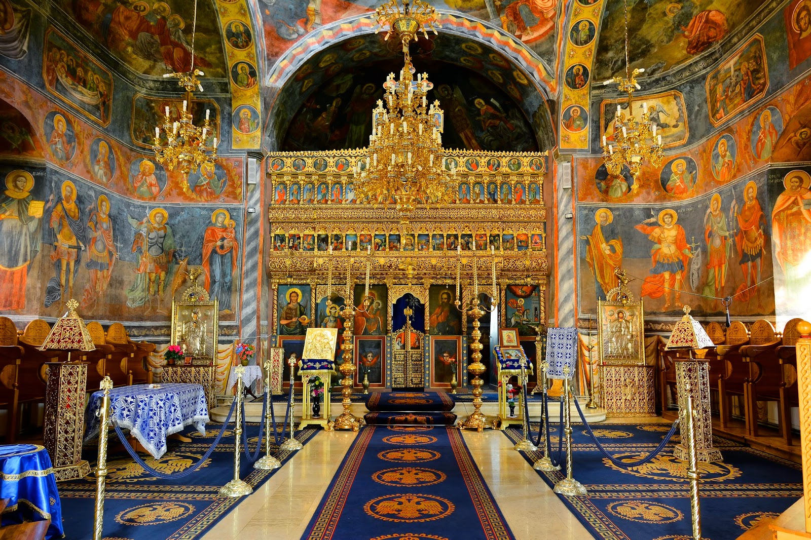 passion and art - the camera can see what our eyes can't - only for ...