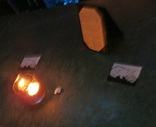 Dislocations: Kayt Hester: Summer & the Magicada