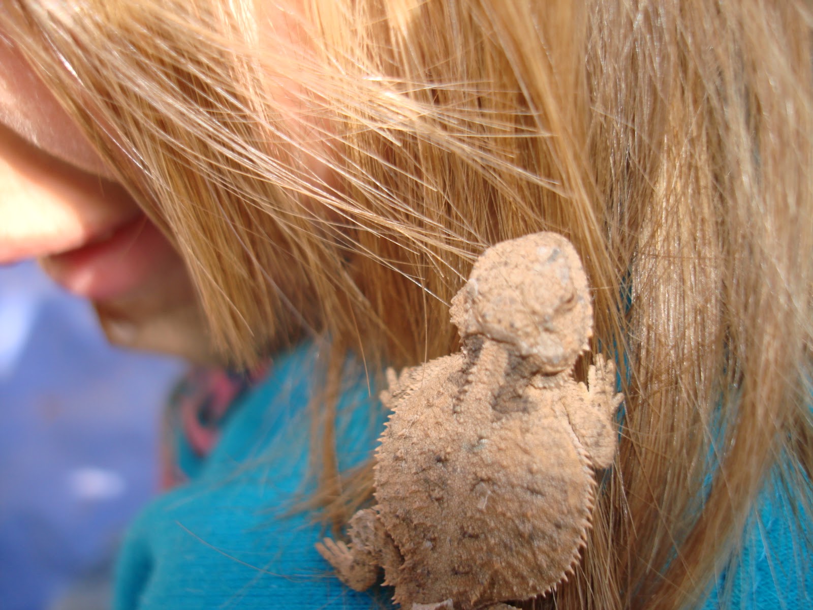 THE APPLEWOOD STUDIO: GIANT HEAD LICE INVADE THE APPLEWOOD STUDIO