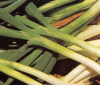 Berbagi Pengetahuan: Khasiat Daun Bawang