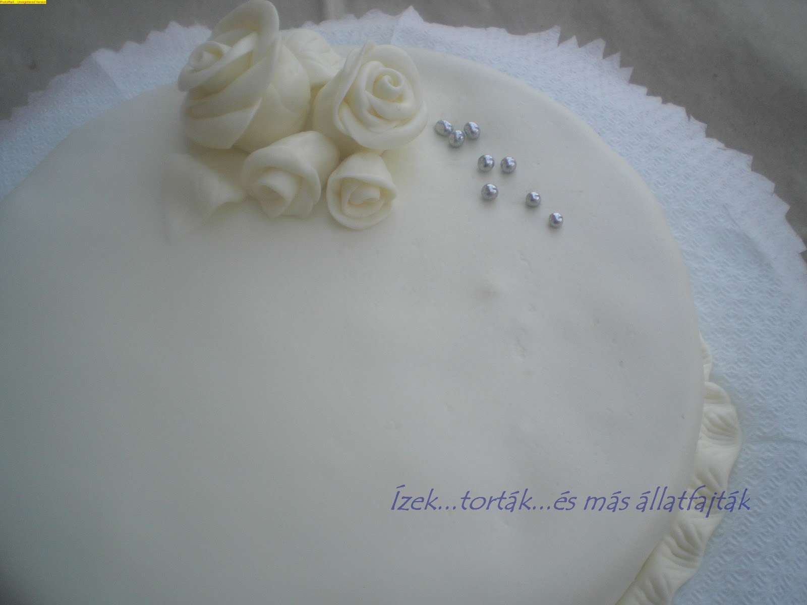 Ízek...torták...és más állatfajták: CSAK TORTÁK