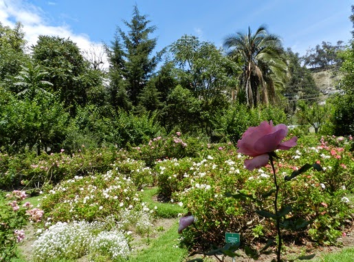 Lugares turísticos de la ciudad de Ambato