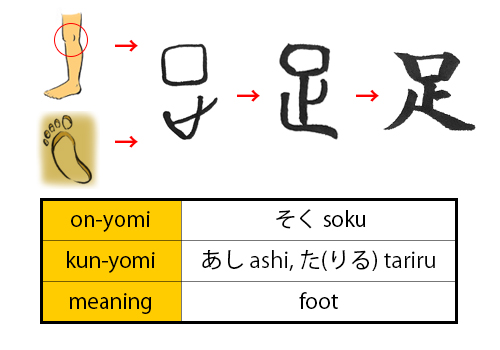 Kanji study - 止 stop|Learn Shodo With a Brush Pen!