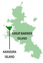 3rd Level New Zealand: The Rodney Aero Club - Flying to Motu Kaikoura