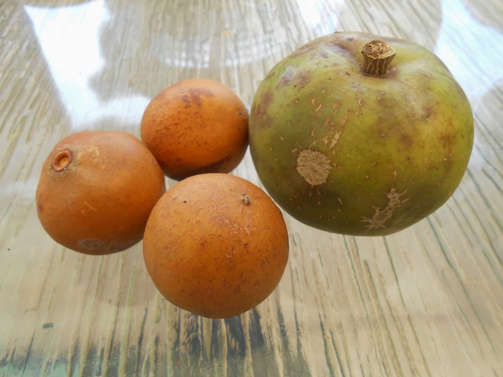 Well, It's Africa...: Mazhanje, For Reals